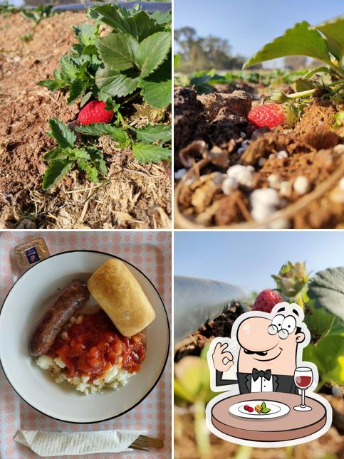 Tootfarangi . Strawberry farm, Parys - Restaurant menu, prices and reviews