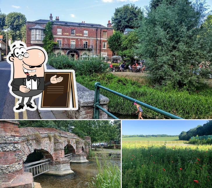 The Lion, Farningham - Restaurant menu, prices and reviews