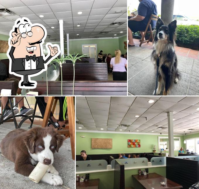 Short Stacks, 11924 Forest Hill Blvd #11 in Wellington - Restaurant reviews