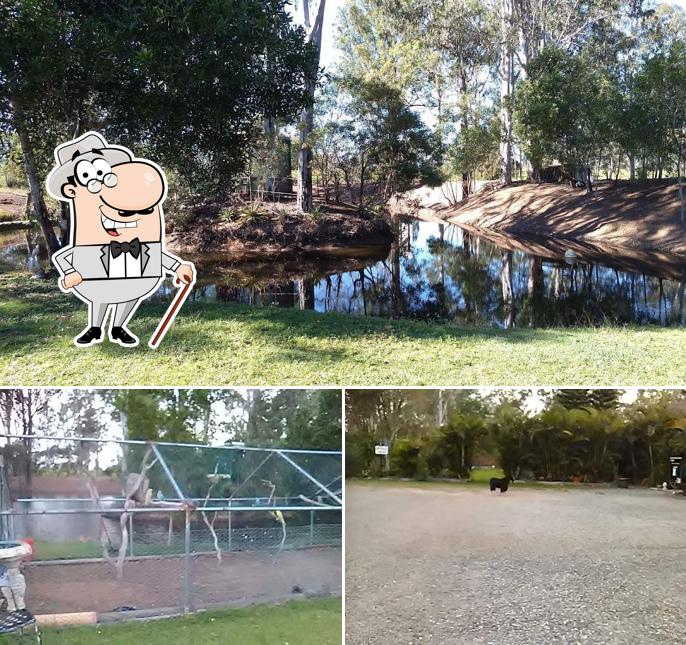 Windsong Cabins and Tea Gardens, Gunalda - Restaurant menu, prices and ...