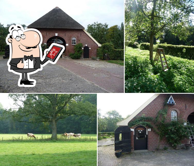 Find the best place to eat in Ambt Delden, winter 2024 - Restaurant Guru