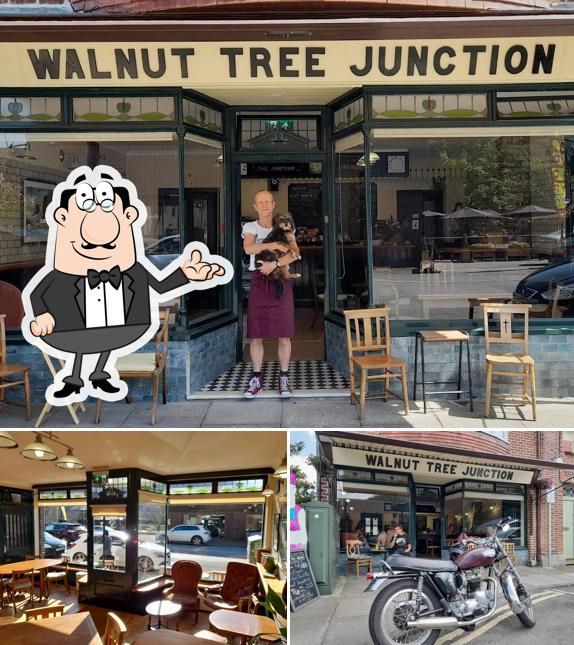 Walnut Tree Junction Cafe in Cardiff - Restaurant reviews