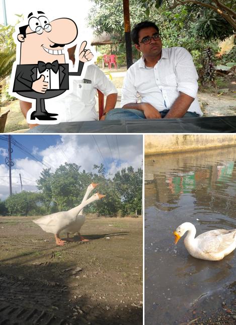 Malancha Hotel, Mahespur - Restaurant reviews