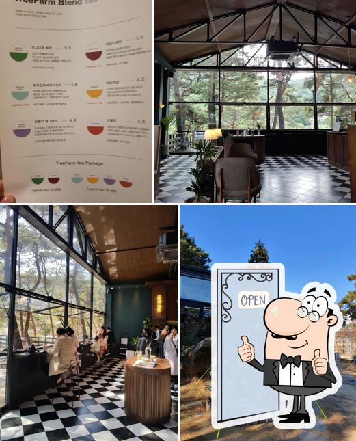 Tree Farm cafe, Daegu - Restaurant menu and reviews