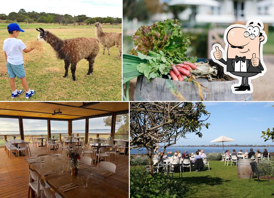 Basils Farm in Swan Bay - Restaurant reviews