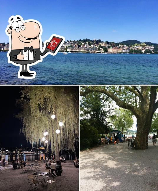 Buvette Bar, Lucerne - Restaurant menu, prices and reviews