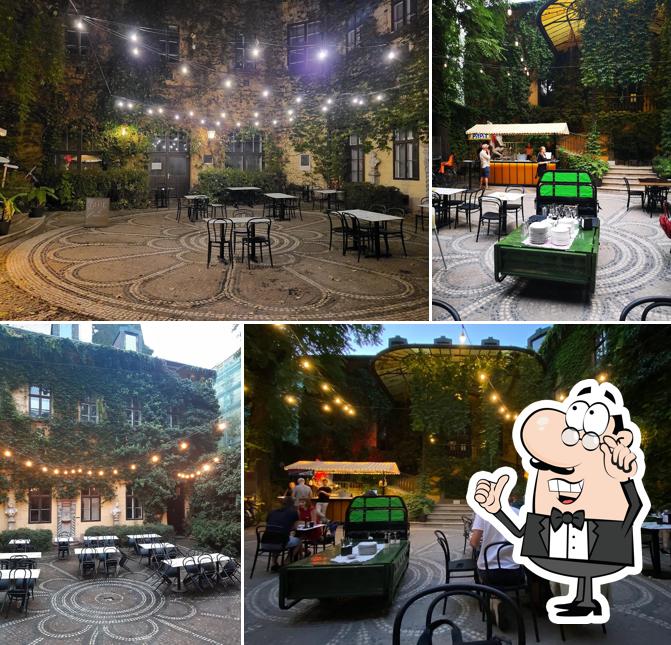 Arquitecto Pitpit, Budapest - Restaurant menu, prices and reviews