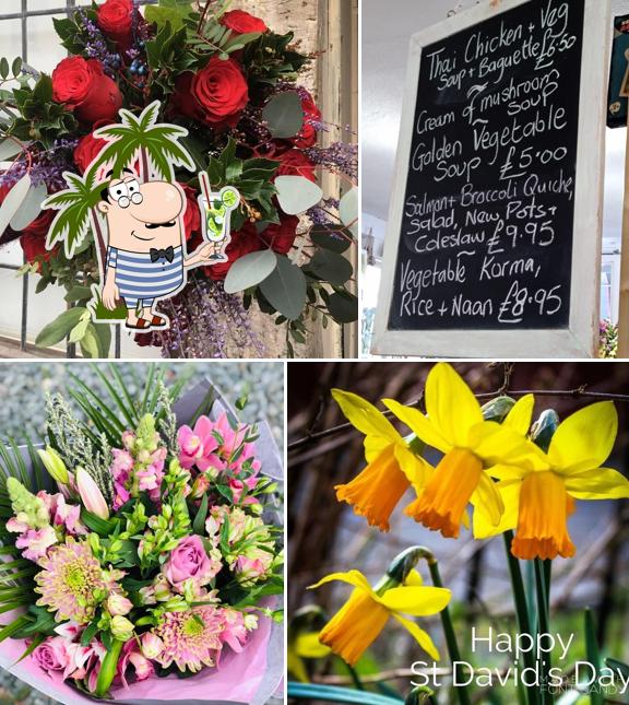 Rose Cottage Cafe, Presteigne - Restaurant menu, prices and reviews