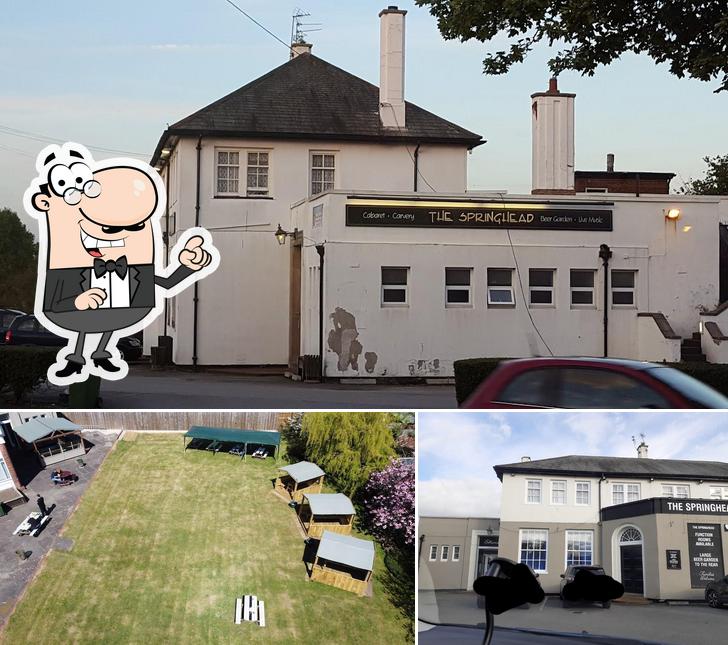 The Springhead, Willerby - Restaurant menu, prices and reviews