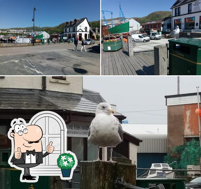 Jac-O-bites Cafe Mallaig, Mallaig - Restaurant menu, prices and reviews