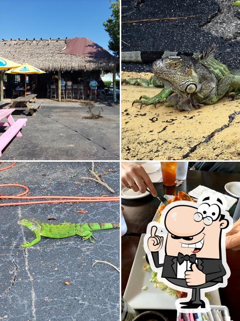 Brewfish Bar & Grill in Pompano Beach - Restaurant menu and reviews