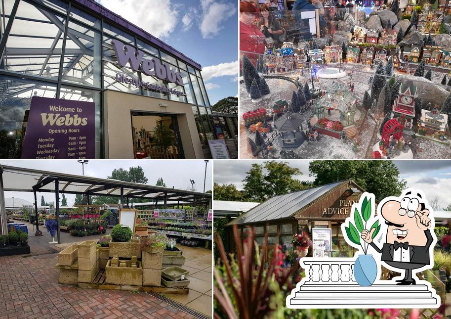 Webbs Garden Centre Stourbridge | Fasci Garden