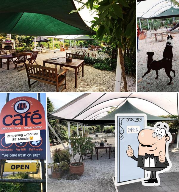 Native Tree Cafe in Mangatarata - Restaurant reviews