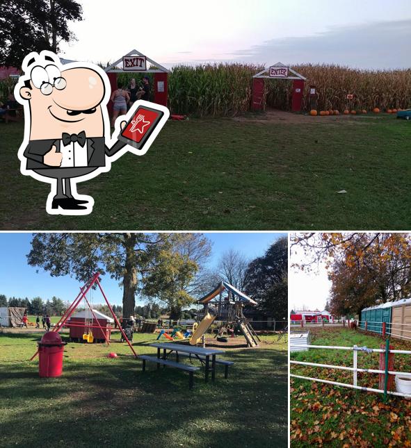 Hanes Corn Maze in Hamilton - Restaurant reviews