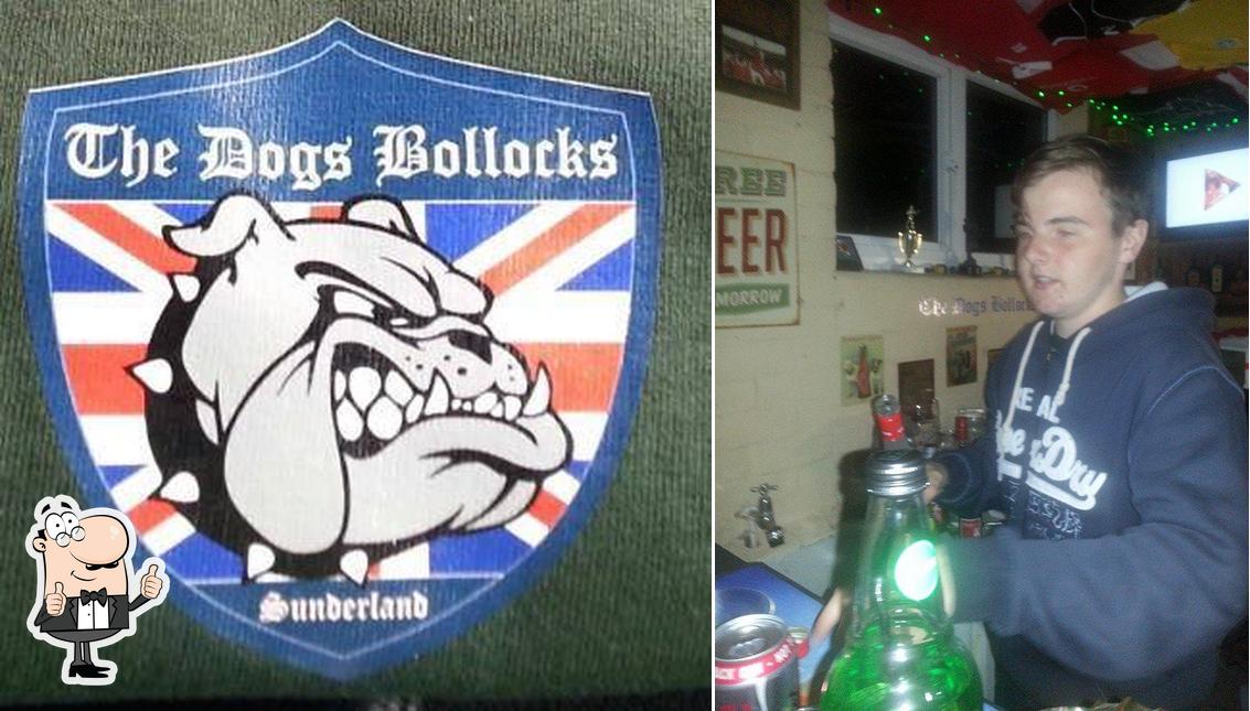 The Dogs Bollocks Sunderland in Sunderland