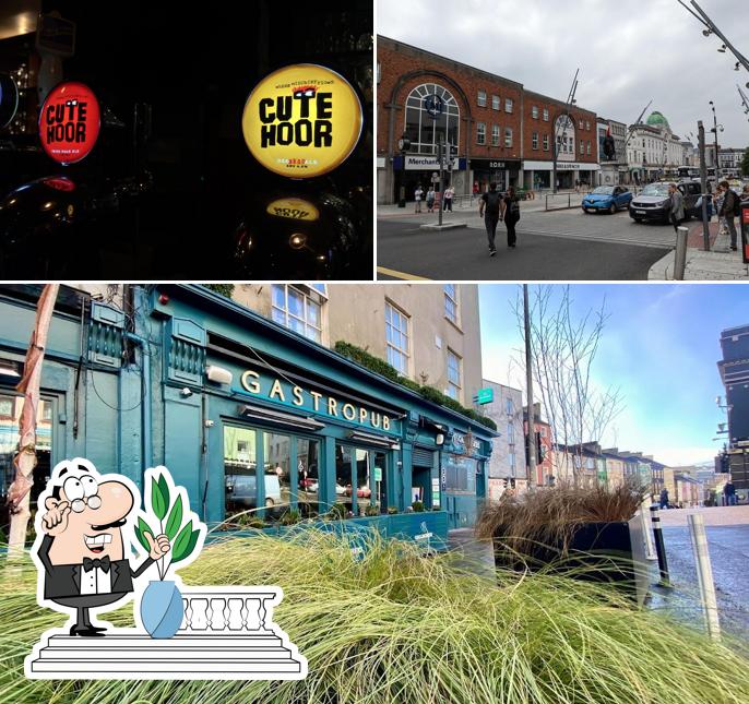 Gallagher's Cork, Cork - Restaurant menu, prices and reviews