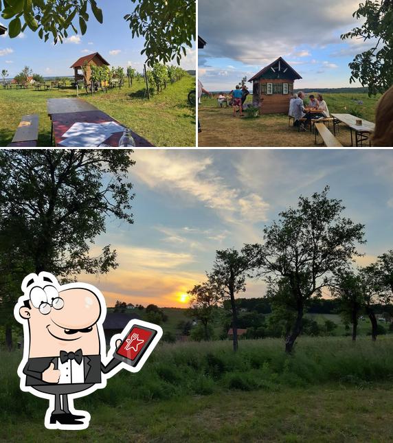 Buschenschank Schreiner, Eberau - Restaurant menu, prices and reviews