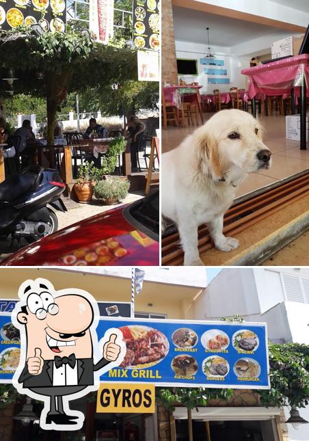 Manolis restaurant, Apolakkia - Restaurant reviews