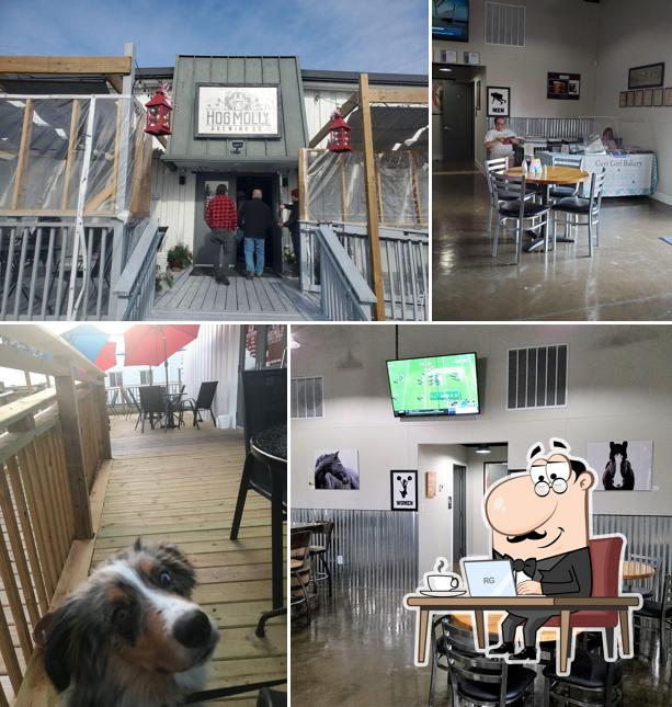 Hog Molly Brewing, Columbus - Restaurant menu, prices and reviews