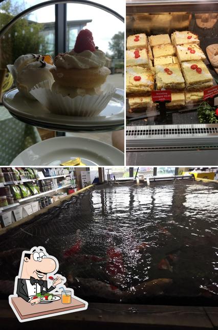 Dobbies Garden Centre Braehead in Glasgow - Restaurant reviews