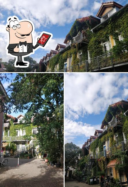 Strandcafe, Freiburg - Restaurant reviews