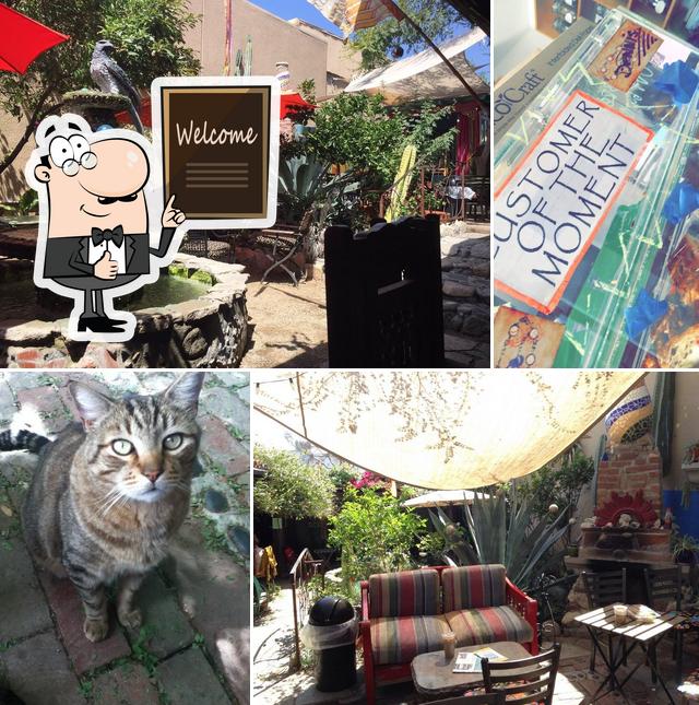 Holy Grounds Coffee and Tea in Los Angeles - Restaurant menu and reviews