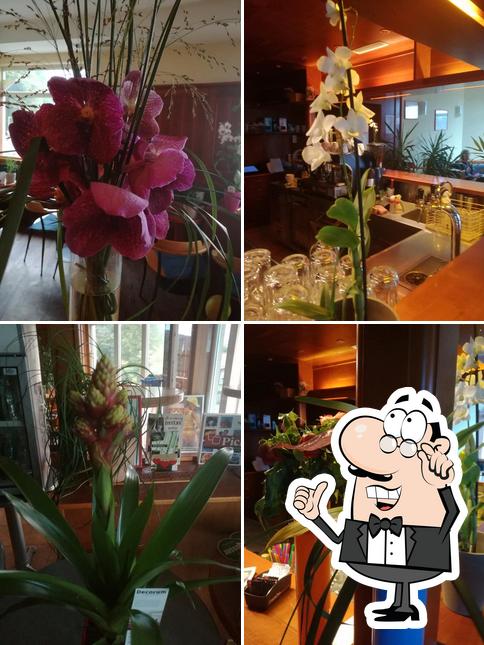 Premium Bar, Medvode - Restaurant menu, prices and reviews