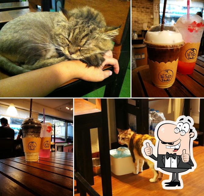 Café Nuan Nom Coffee นวลนม, Bangkok - Carta del restaurante y opiniones