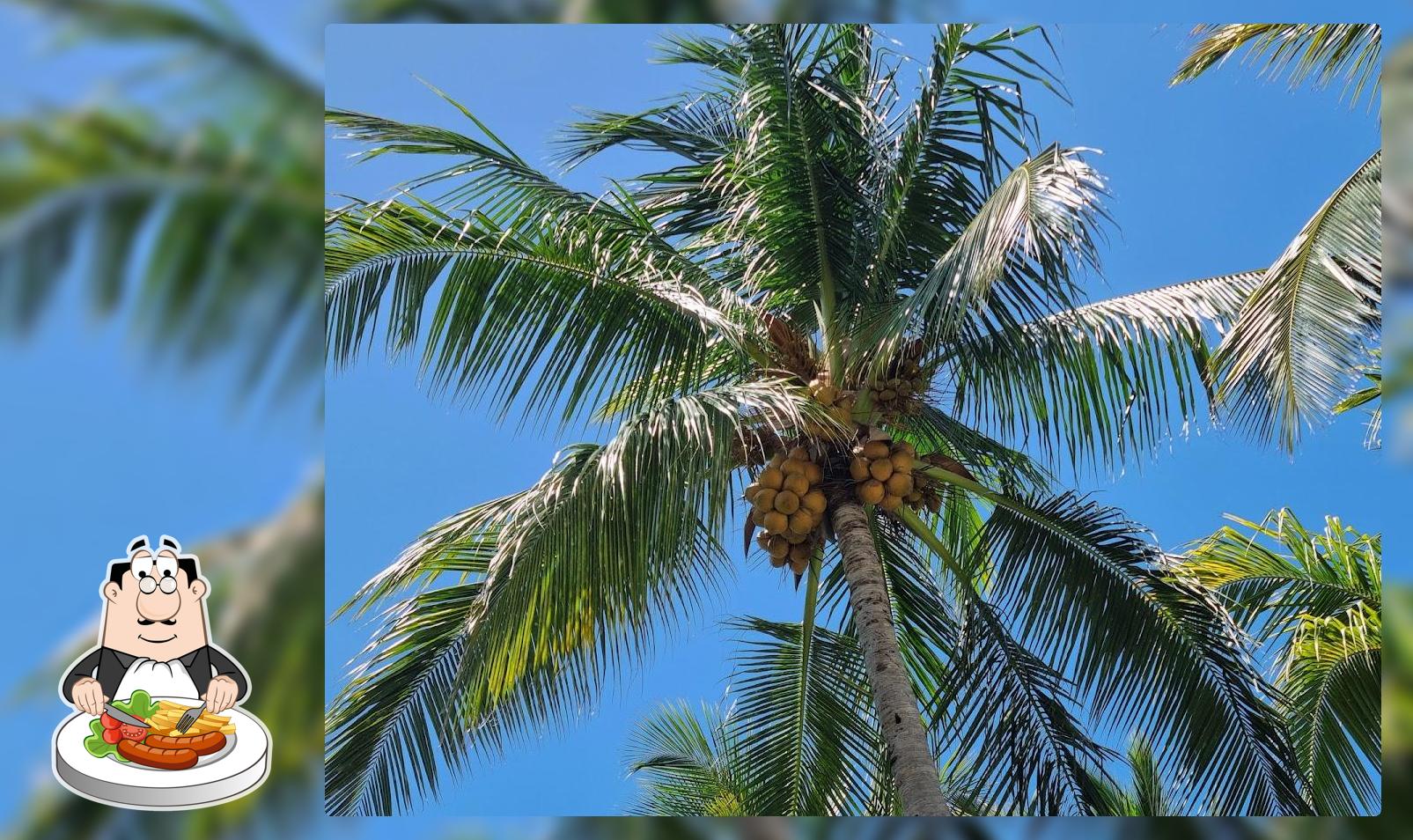 Larimar Bar, Punta Cana, MHX7+HV - Restaurant reviews