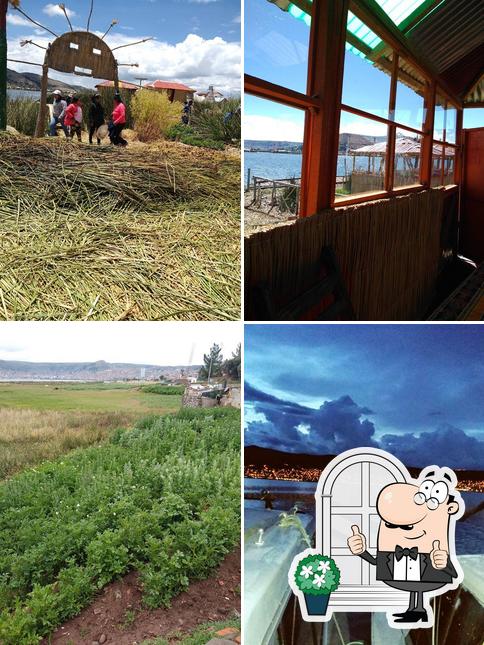 Uros Food Titiqaqa - Hospedaje restaurant, Puno - Restaurant reviews