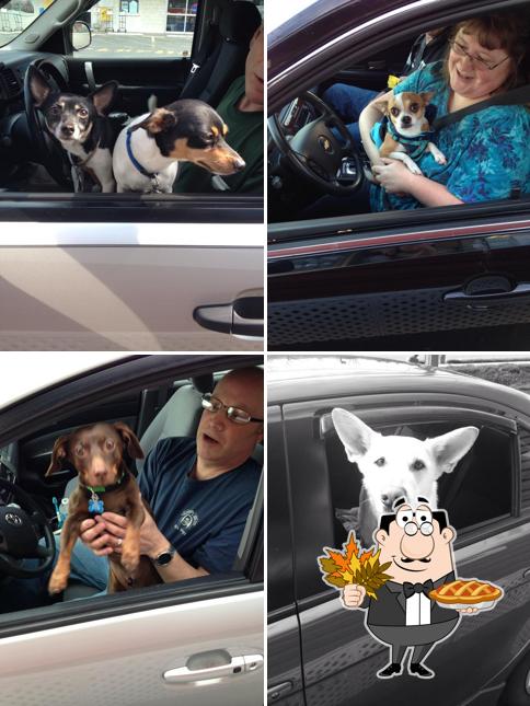 Potts' Dog Barn in Emmaus - Restaurant menu and reviews