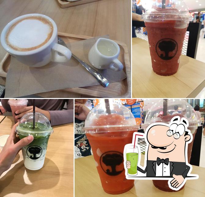 Restaurante Little Forest, Bangkok, Lat Phrao Rd - Opiniones del ...