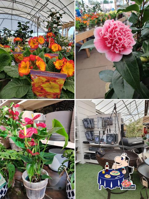 Notcutts Garden Centre, Huntingdon - Restaurant menu, prices and reviews