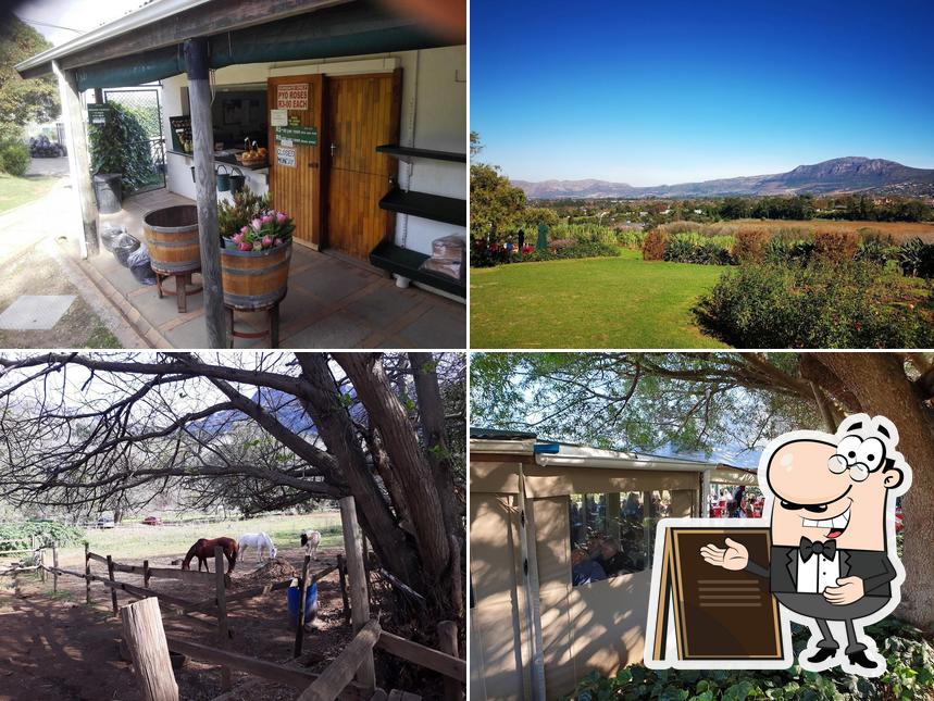 Chart Farm Roses and Coffee Shop restaurant, Cape Town - Restaurant reviews