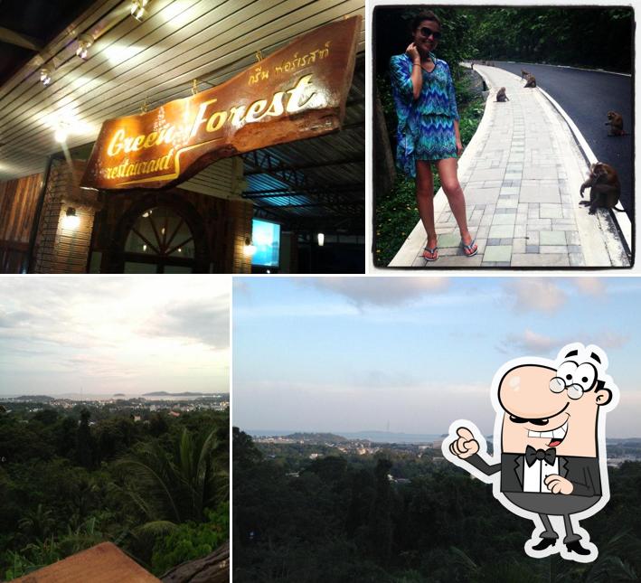 Green Forest Restaurant, Phuket - Restaurant reviews