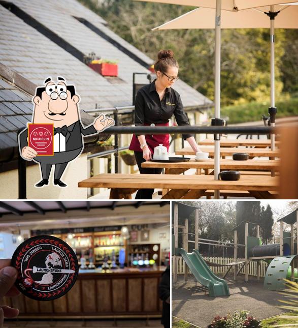 Borough Arms, Bodmin in Bodmin - Restaurant reviews