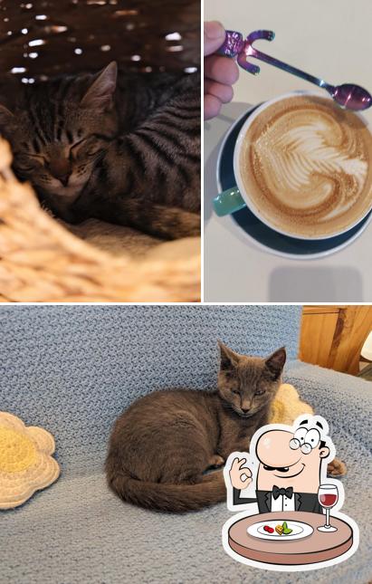 Catnap Cafe, Christchurch - Restaurant menu, prices and reviews