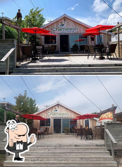 Chameleon Cafe & Aqua Tours Inc. in Turkey Point - Restaurant menu and ...
