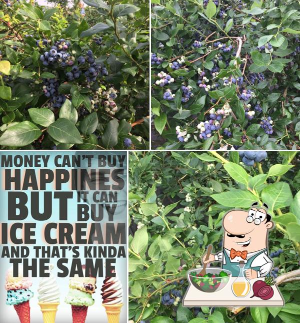 The Berry Patch, Copper Harbor - Restaurant menu, prices and reviews