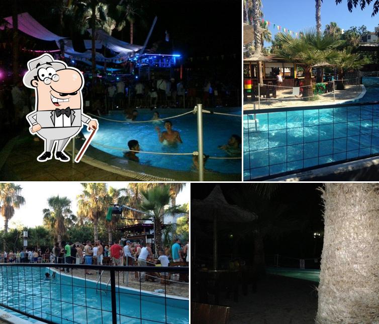 River Reggae, Agia Napa - Speisekarte, Preise und Bewertungen
