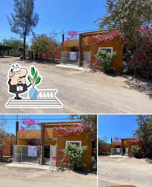Los 5 mejores restaurantes en El Castillo, Sinaloa, julio 2025 ...