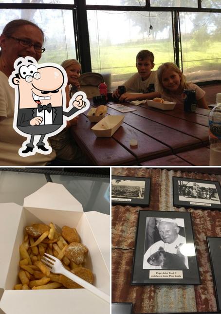 Sleepy Koala Café in Kenmore - Restaurant reviews