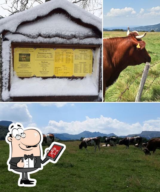 Auberge La Ferme de l'Angle, Le Mont-Dore - Menu du restaurant, prix et ...