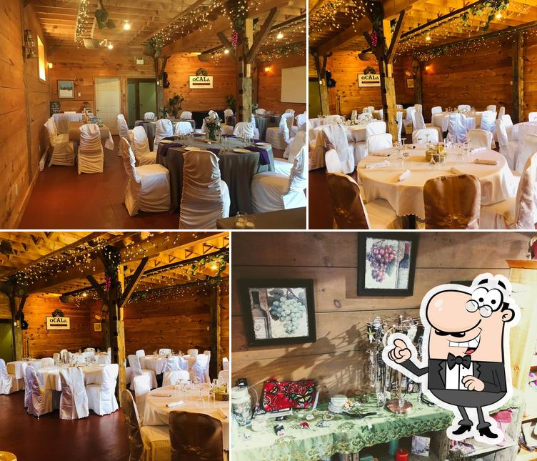 Ocala Winery Groups Inc. in Port Perry - Restaurant reviews