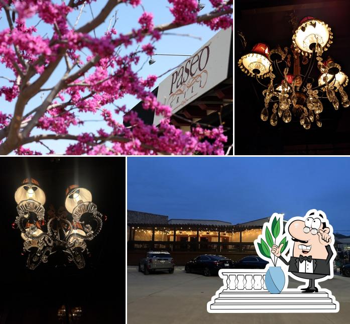 Paseo Grill, Oklahoma City - Restaurant menu, prices and reviews