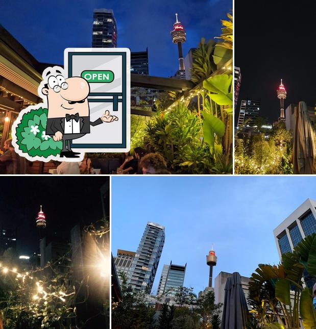 Old Mates Place in Sydney - Restaurant menu and reviews