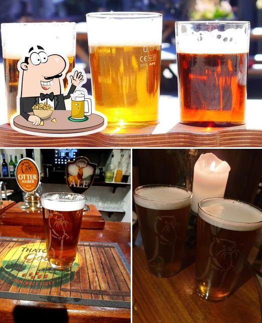 The Stags Head Inn & B&B Under New Management in Minehead - Restaurant ...