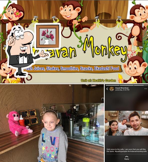 Vrindavan Monkey Cafe, Vrindavan - Restaurant menu, prices and reviews