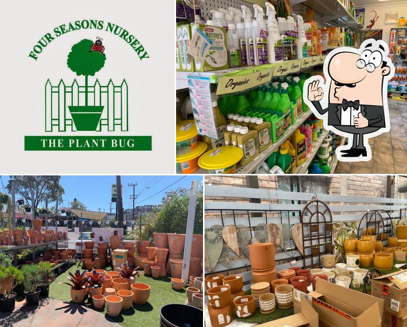 Four Seasons Garden Centre - Mount Colah (The Plant Bug) in Mount Colah ...