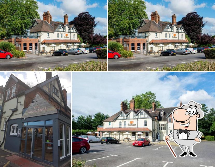 Beefeater The Woodlands, Gravesend - Restaurant menu, prices and reviews